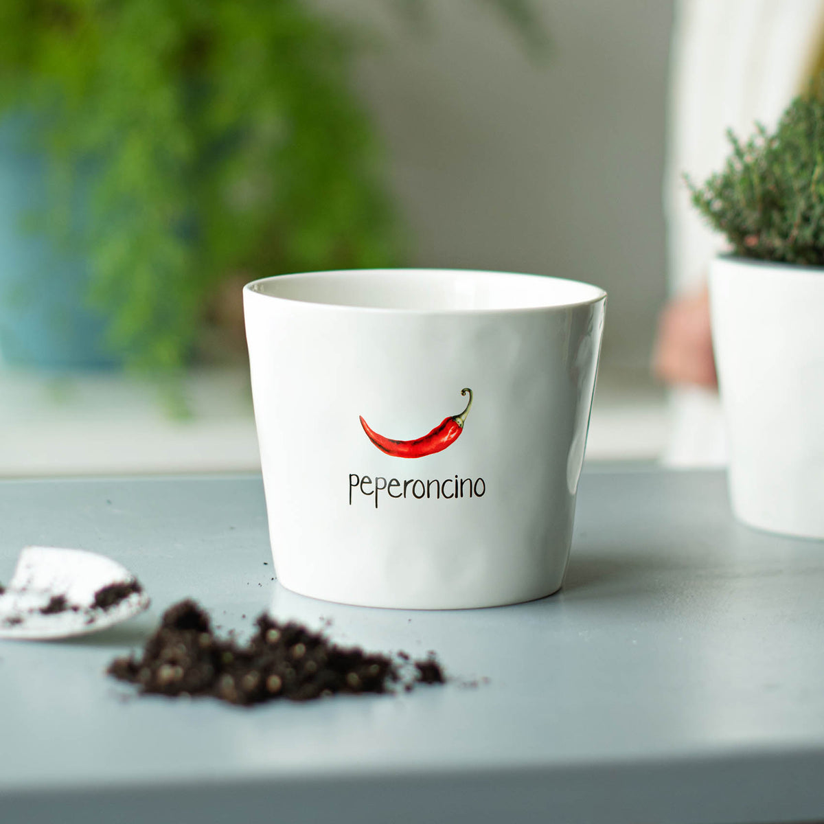 Chili vase, with saucer — Simple Day