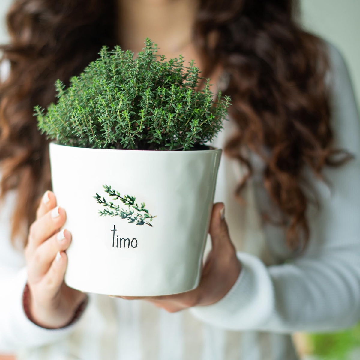 Vaso Timo, con sottovaso — Simple Day